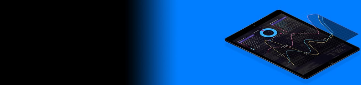 Layer7 API Developer Portal