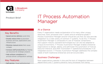 IT Process Automation Manager